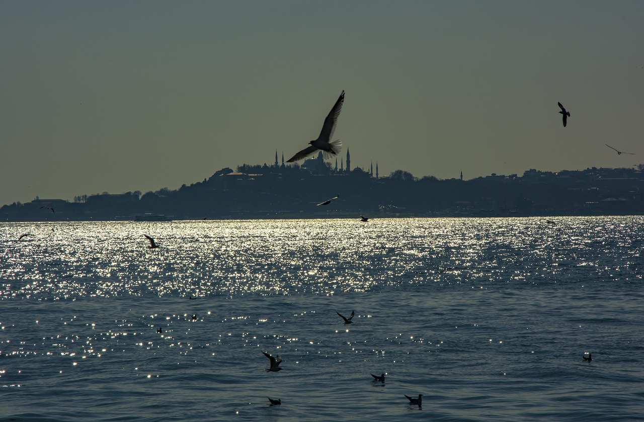 Istanbul Deniz Gökyüzü - Pixabay'de ücretsiz fotoğraf - Pixabay