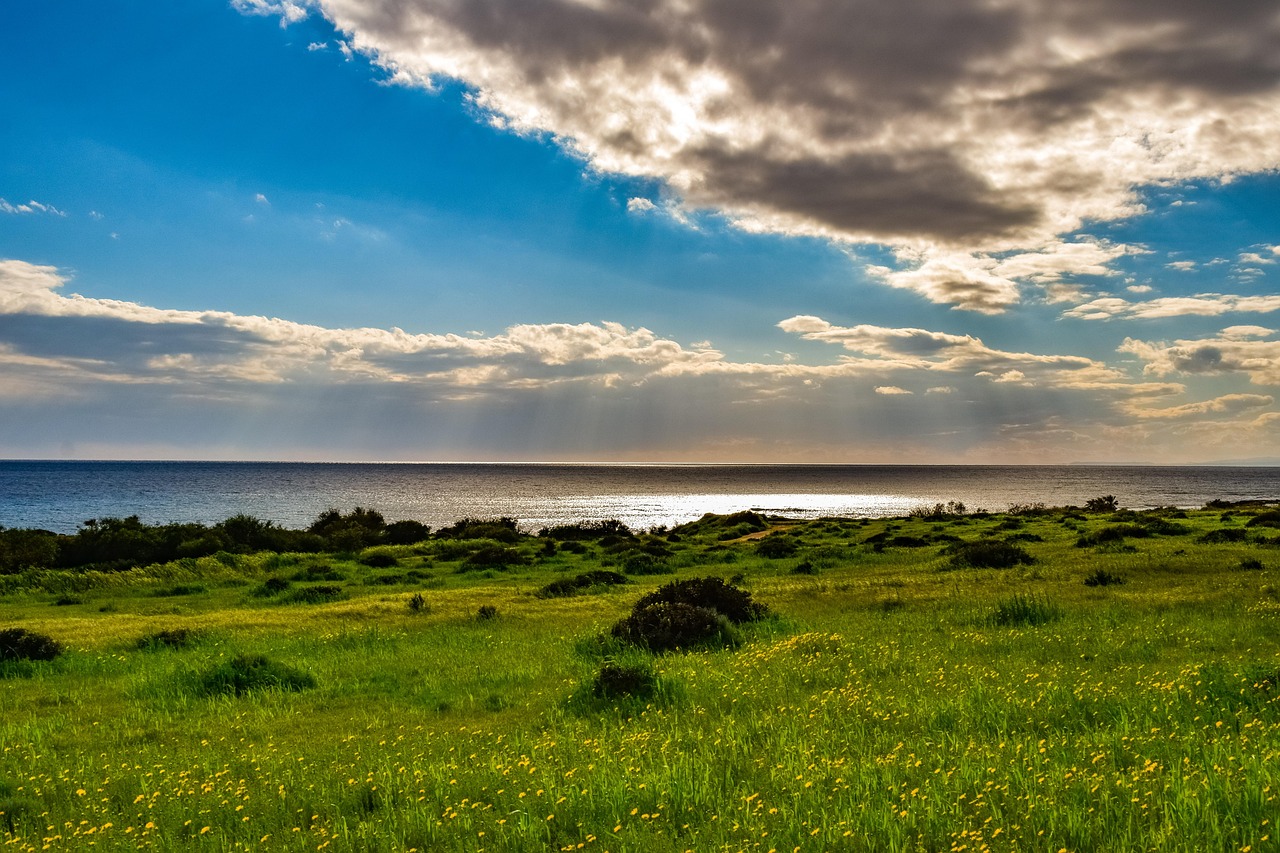 Prairie Meadow Nature - Free photo on Pixabay