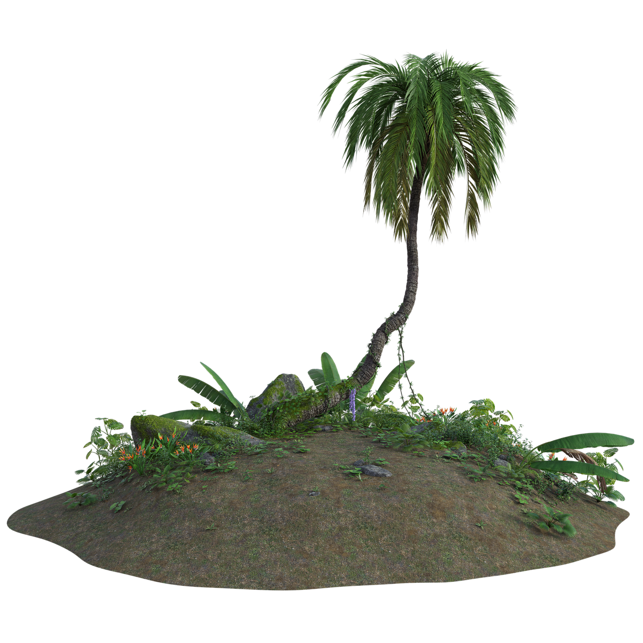 2.000+ kostenlose Palme & Natur Illustrationen - Pixabay