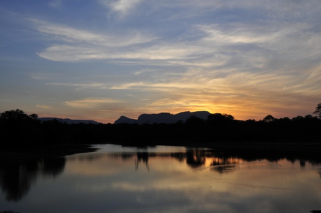 Dél-Afrika Tavacska Afrika - Ingyenes fotó a Pixabay-en - Pixabay