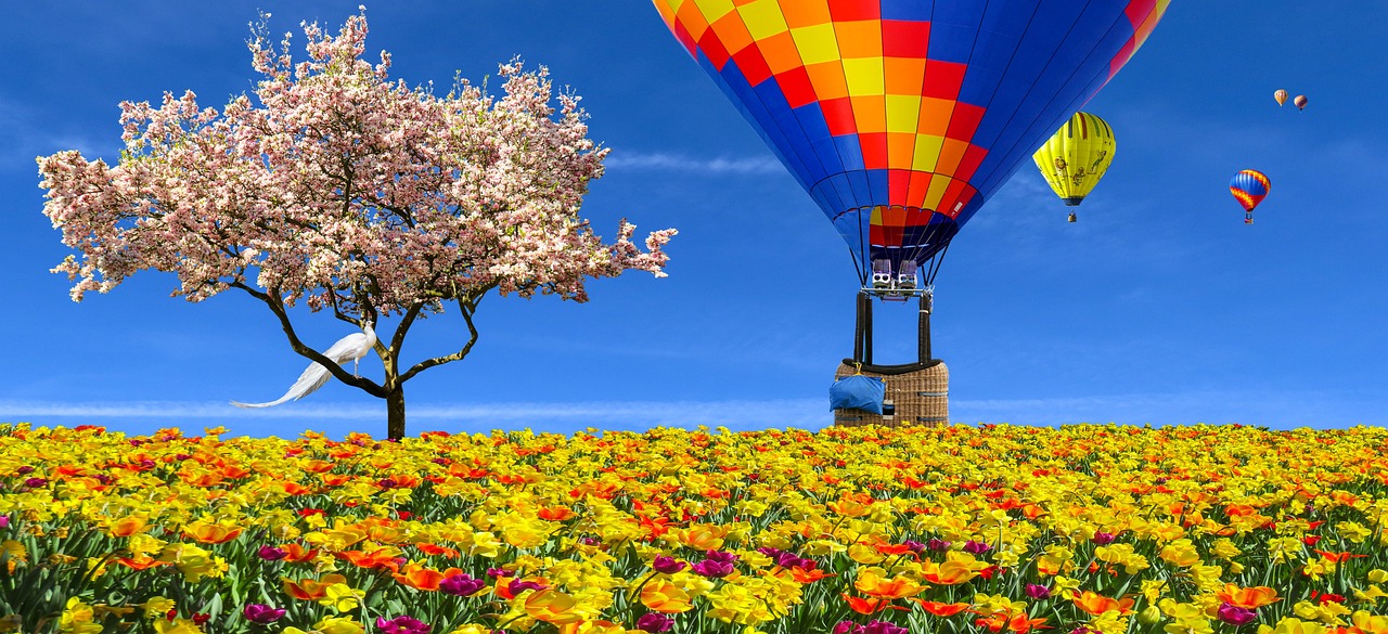 Viajar Vacaciones Naturaleza - Foto gratis en Pixabay - Pixabay