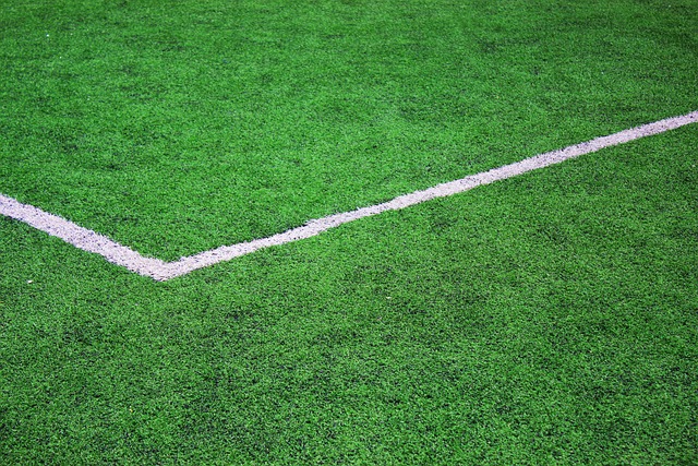 Football Field Grass - Free photo on Pixabay - Pixabay