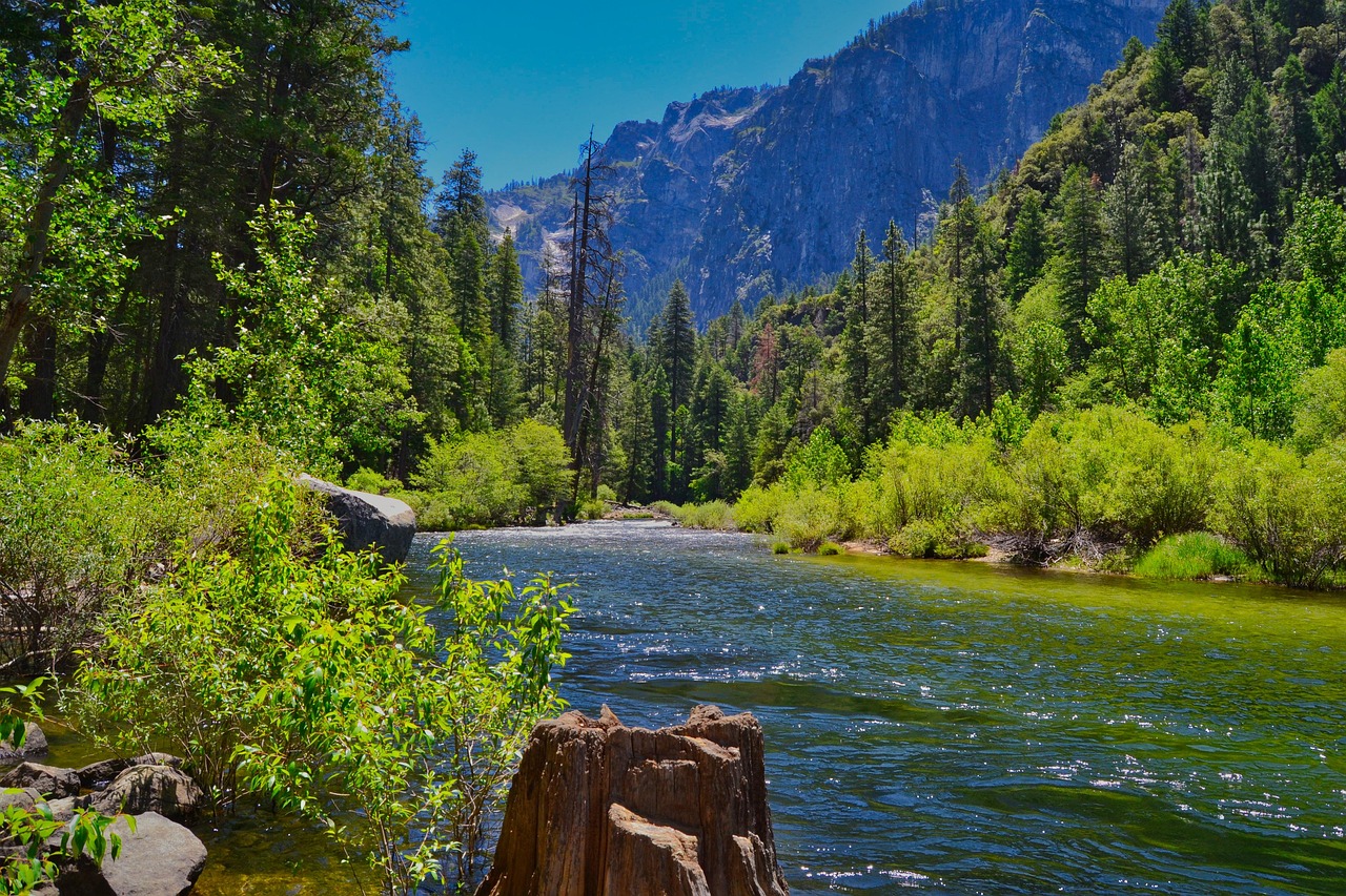 Nature Landscape Bach - Free photo on Pixabay