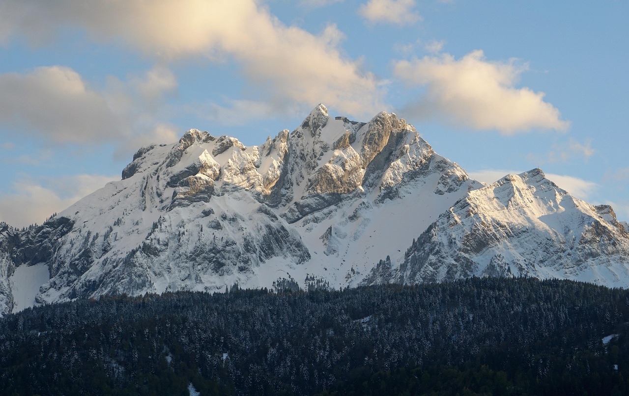 100+ kostenlose Pilatus Tiparului und Pilatus-Bilder - Pixabay