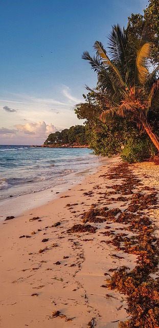 Seychellen Sonnenuntergang Strand - Kostenloses Foto auf Pixabay - Pixabay