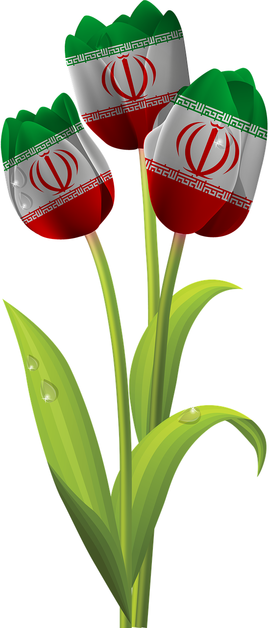 Download Tulip Iran Tajikistan Royalty-Free Stock Illustration Image ...