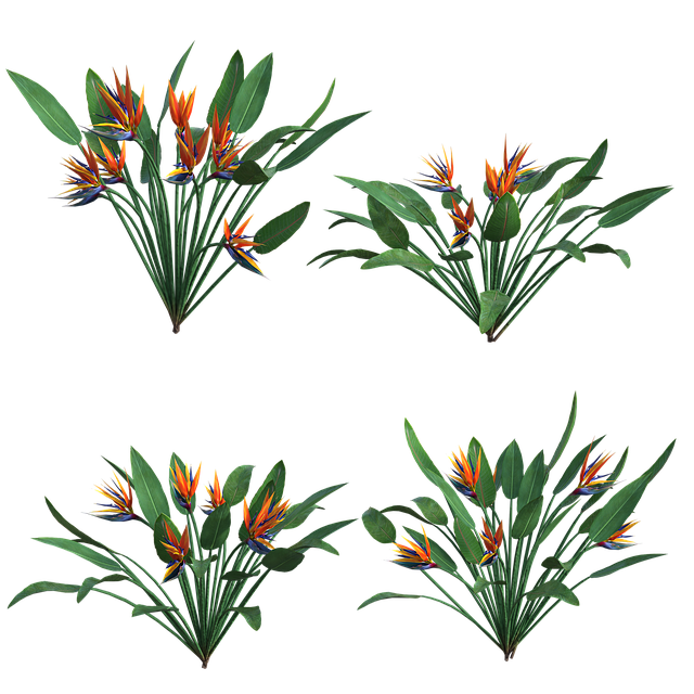 Explore 5,953+ Free Reggae Tropical Illustrations: Download Now - Pixabay