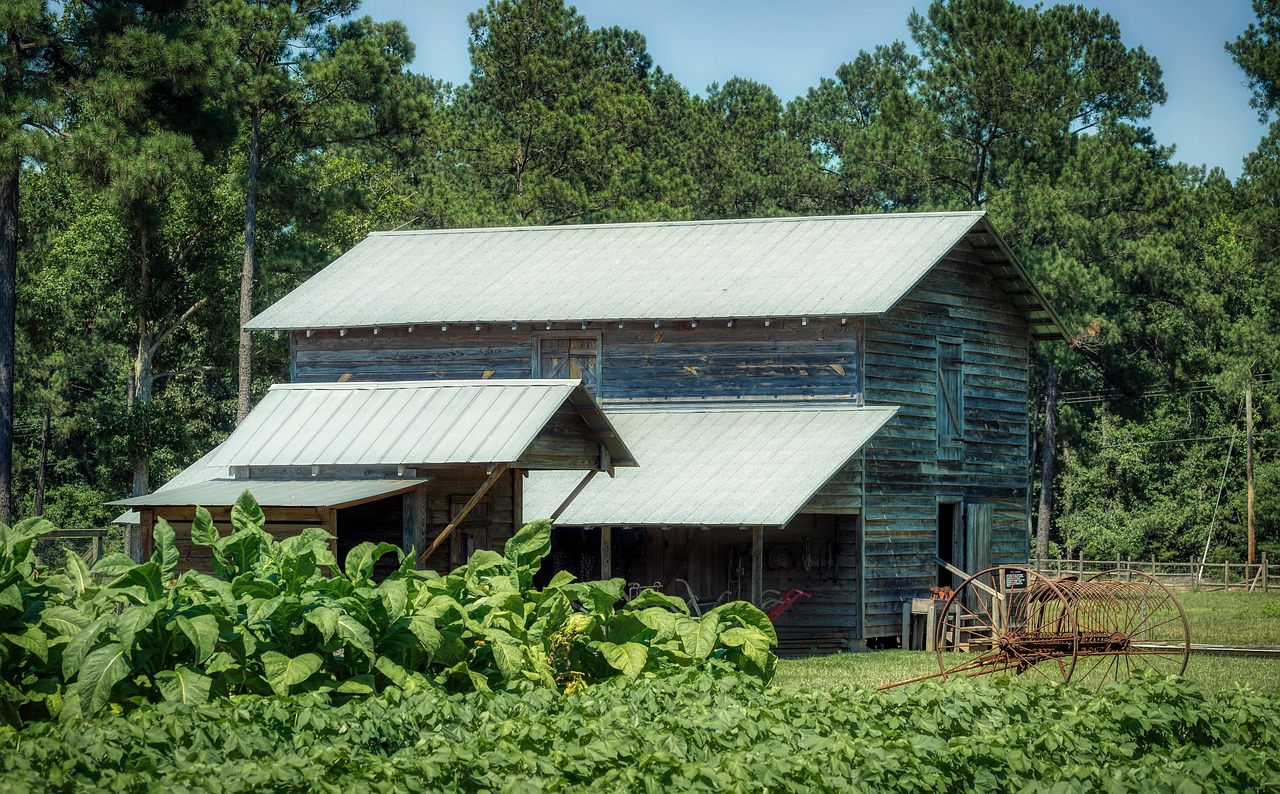 10,000+ Free South Carolina & Charleston Images - Pixabay