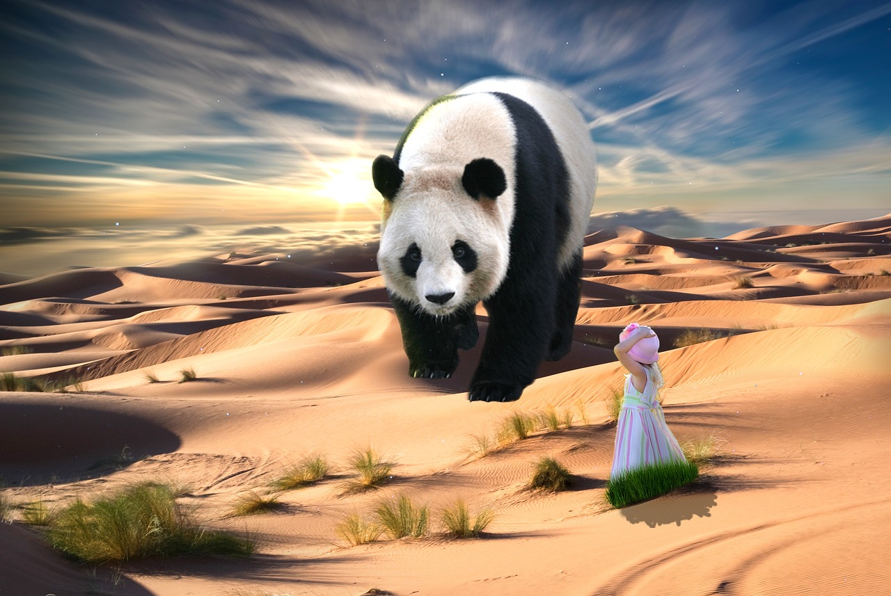 Naturaleza Niña Panda - Foto gratis en Pixabay - Pixabay