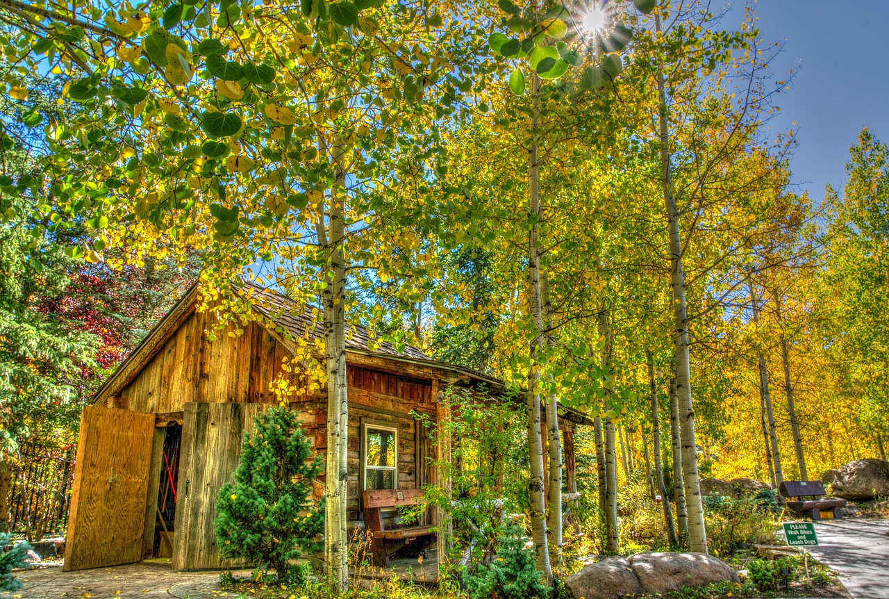 200+ Free 나무집 & Log Cabin Images - Pixabay