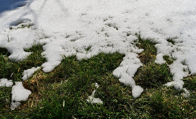 Snow Grass Melt - Free photo on Pixabay