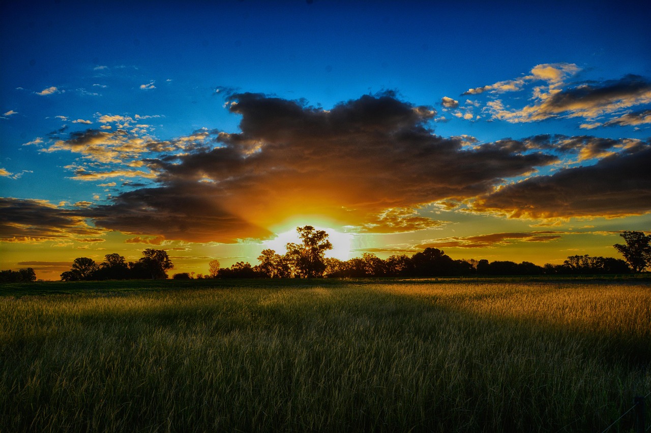 300+ Free Beautiful Afternoon & Afternoon Images - Pixabay