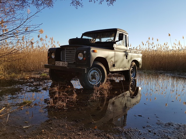 10,000+ Free Flooded Land & Flood Images - Pixabay