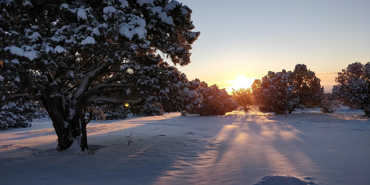 Neve Inverno Frio - Foto gratuita no Pixabay - Pixabay
