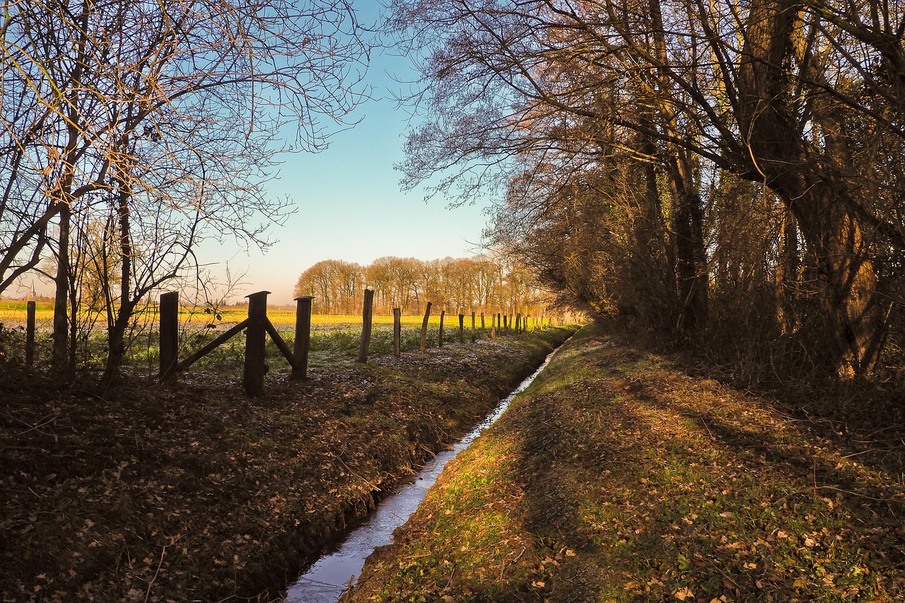 Paisaje Arroyo Naturaleza - Foto gratis en Pixabay - Pixabay