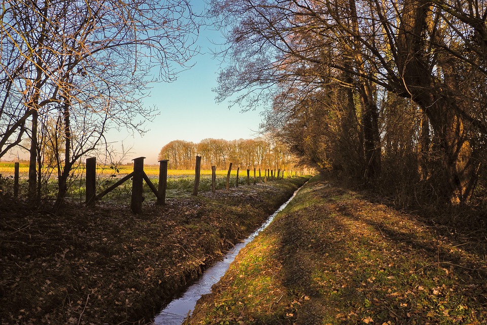 Landscape Bach Nature - Free photo on Pixabay