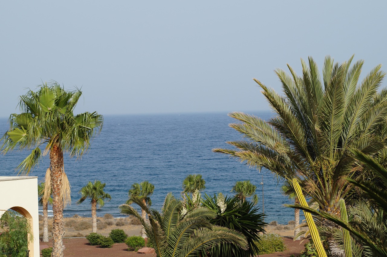 Palmen Meer Sommer - Kostenloses Foto auf Pixabay - Pixabay