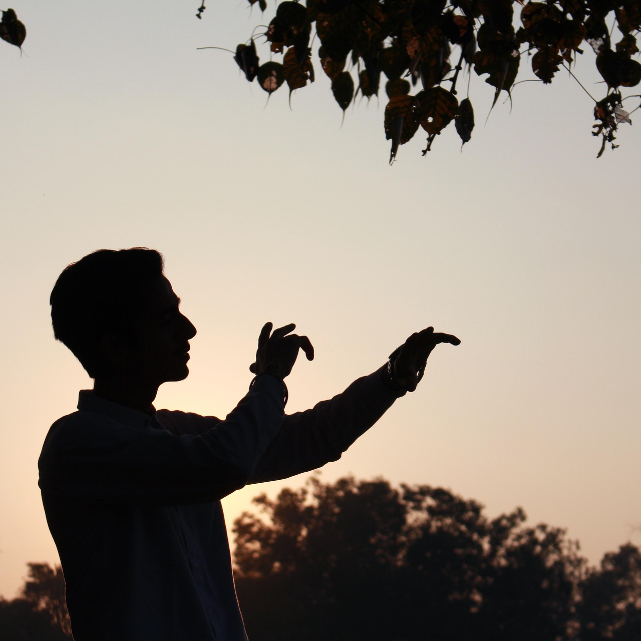 Punjabi Music Song New - Free photo on Pixabay - Pixabay