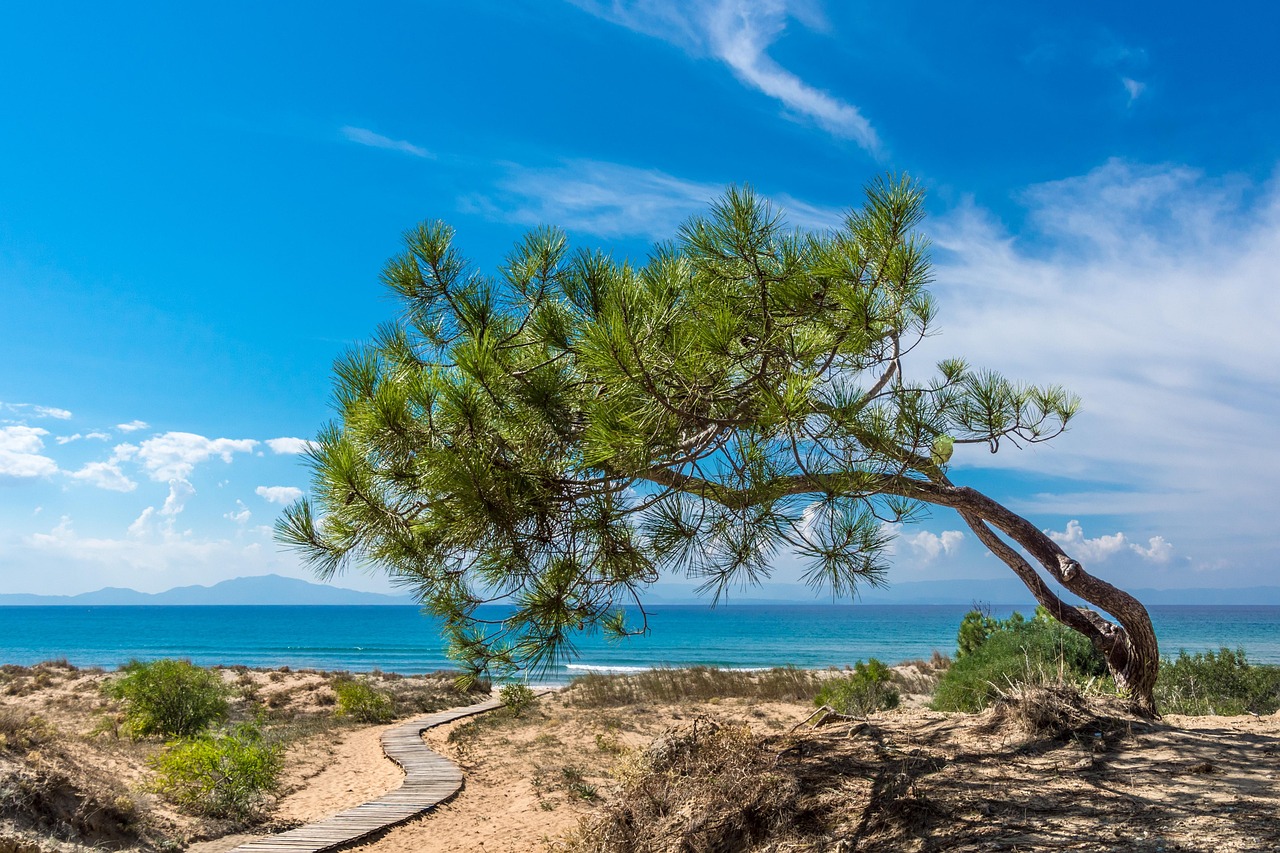 9,000+ Free Greece & Nature Images - Pixabay