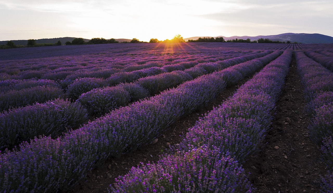 Lavender Sunset Sky - Free photo on Pixabay - Pixabay