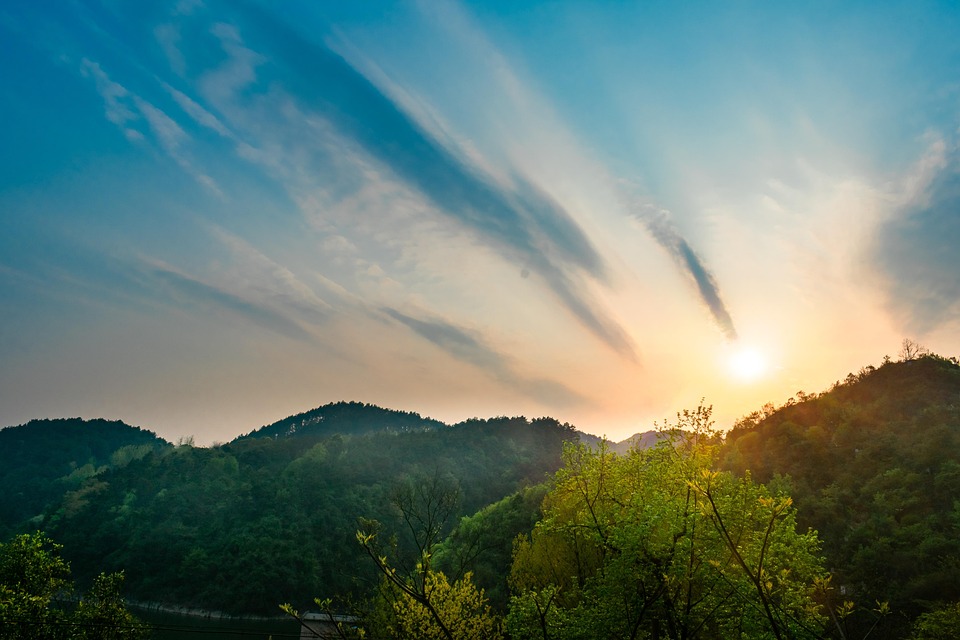 Tree Green Leaf Cloud - Free photo on Pixabay
