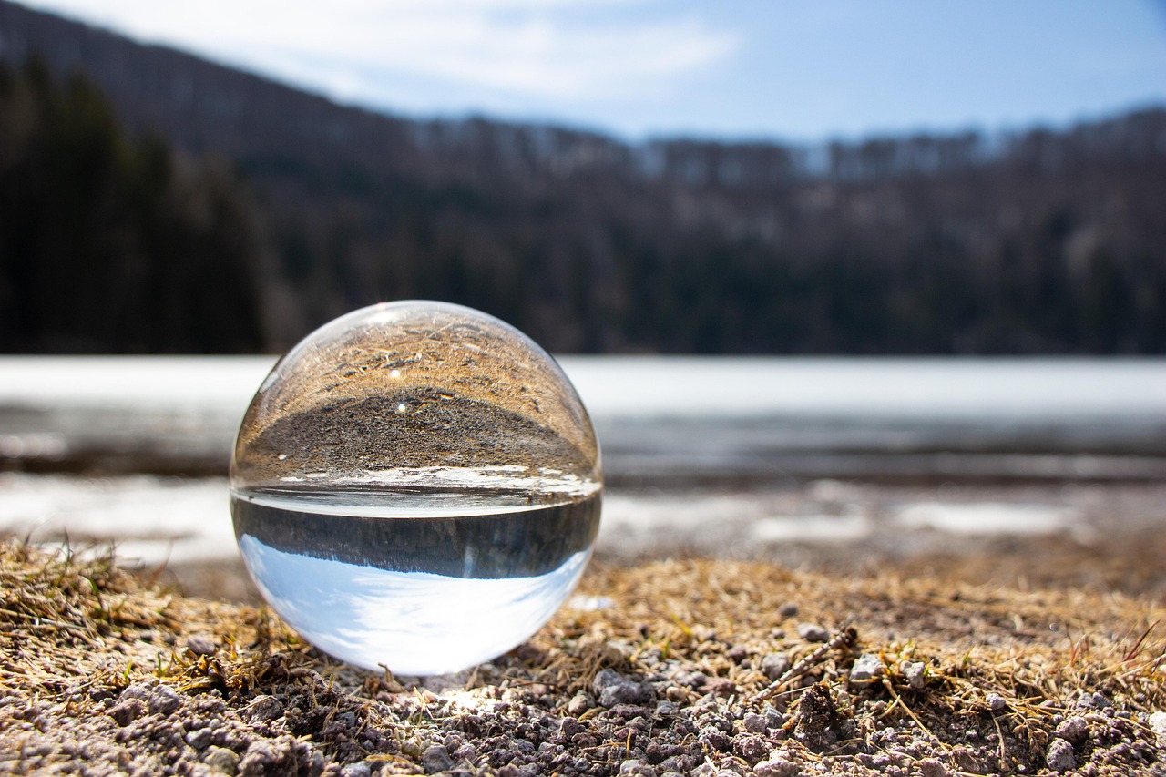 300+ Free Ana 58便 & Duck Images - Pixabay