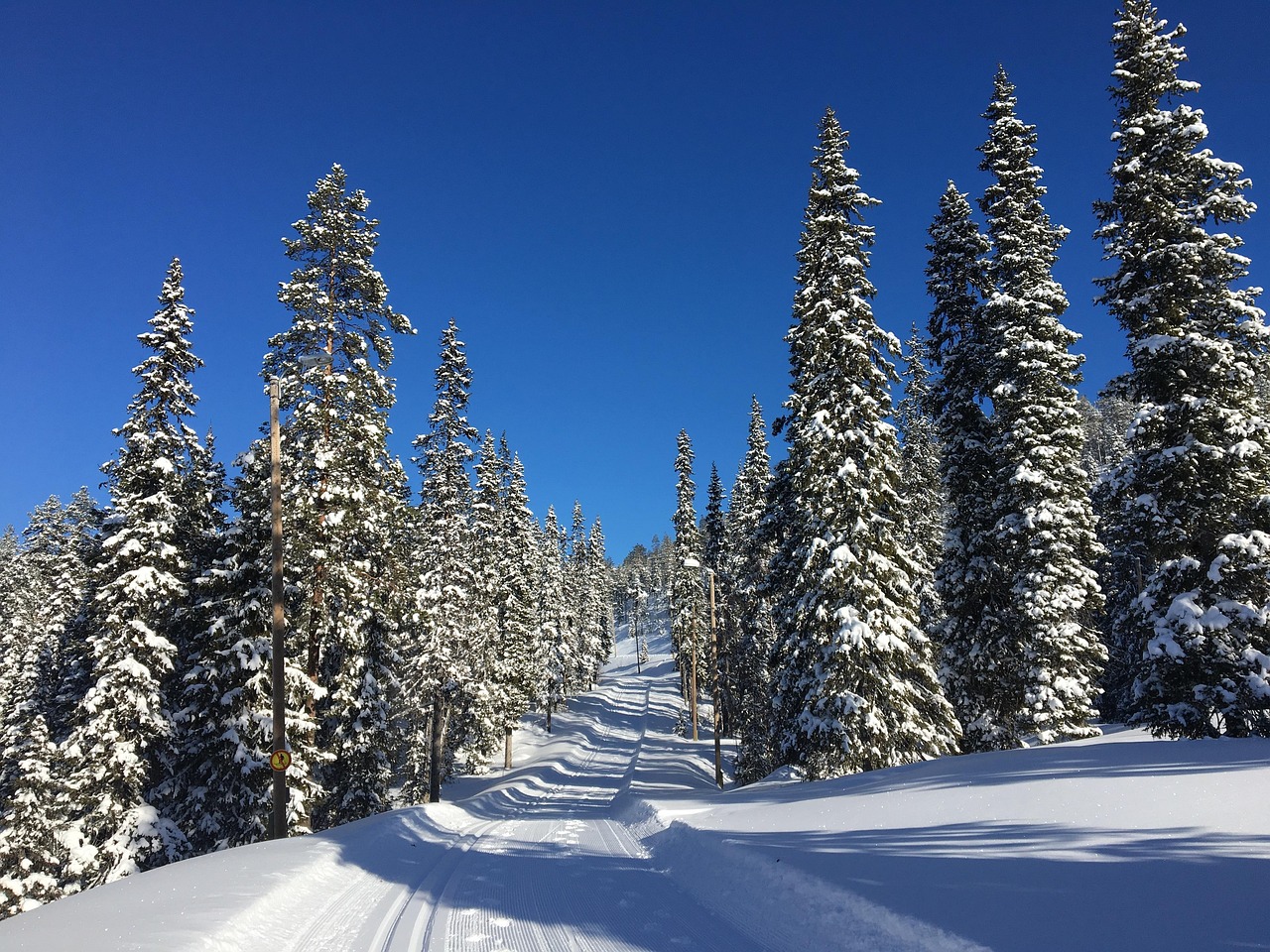 Férias Neve Inverno - Foto gratuita no Pixabay - Pixabay