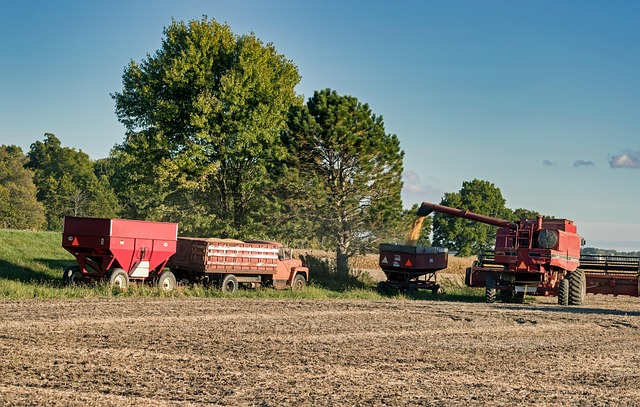 Ohio America Soybean Harvest - Free photo on Pixabay - Pixabay