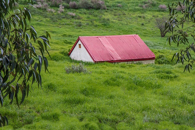 Grass Overgrown Green - Free photo on Pixabay - Pixabay