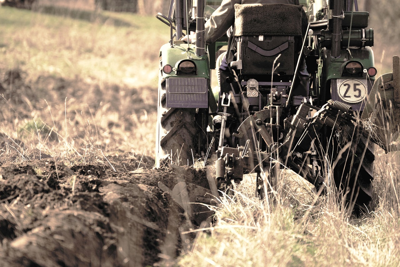 Mais de 30.000 imagens grátis de Agricultura Lavoura e Lavoura - Pixabay