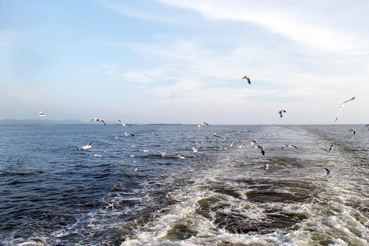 Sea Bay Of Bengal Travel - Free photo on Pixabay - Pixabay