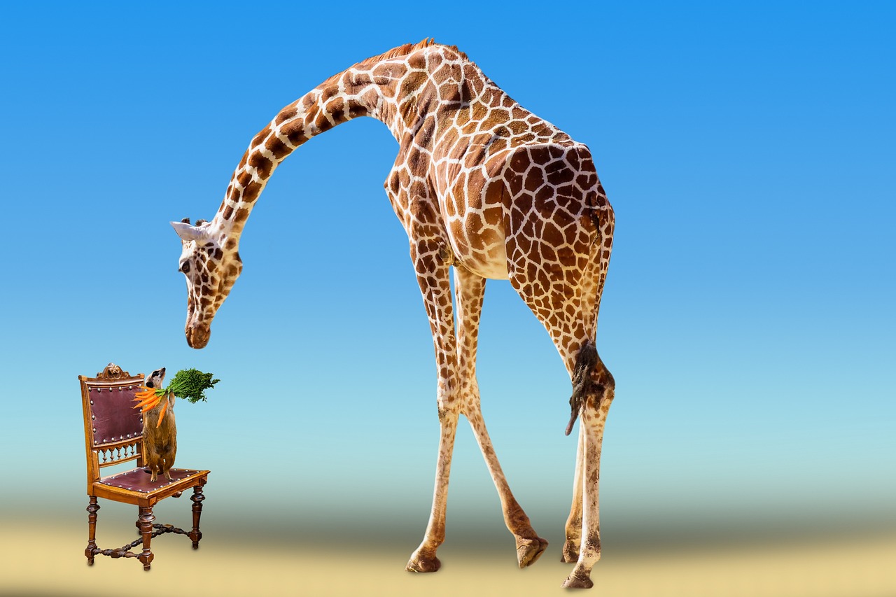 7,000+ Free Get Well Soon & Nature Images - Pixabay