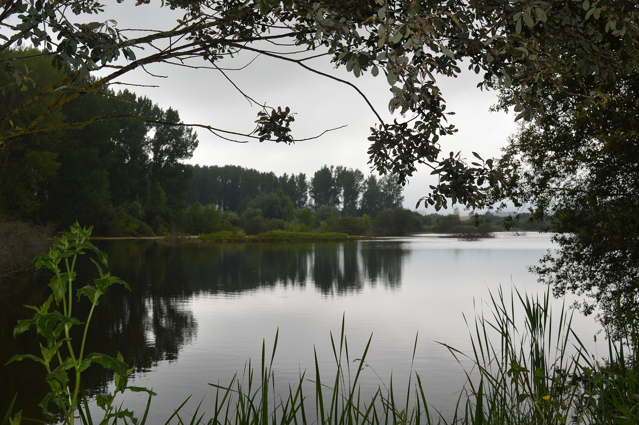 Nature Parc Jardin - Photo gratuite sur Pixabay - Pixabay