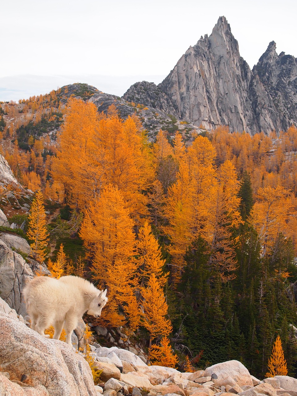Enchantments Cascade Mountains - Free photo on Pixabay
