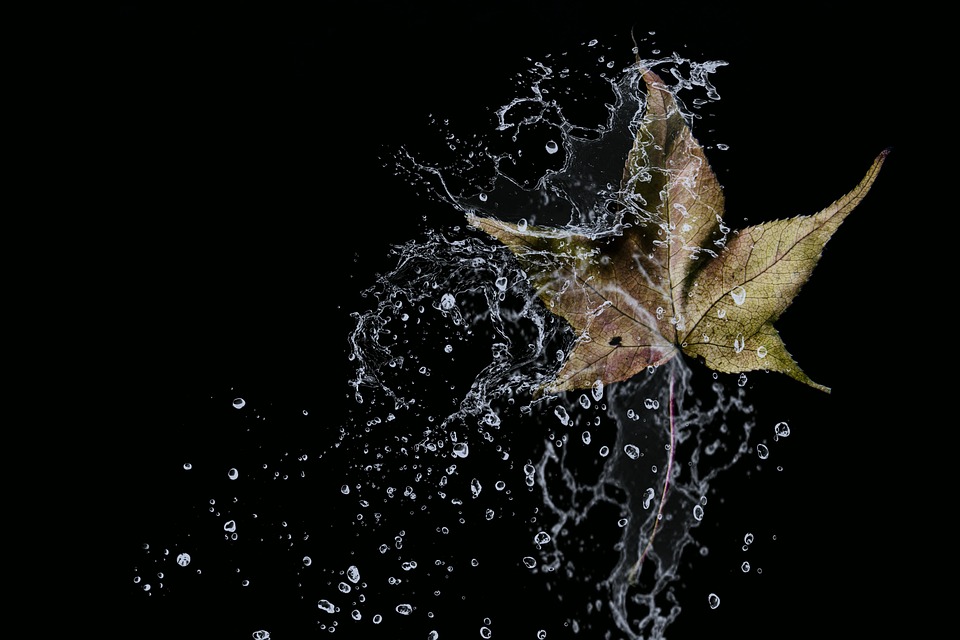 Nature Water Waters - Free photo on Pixabay