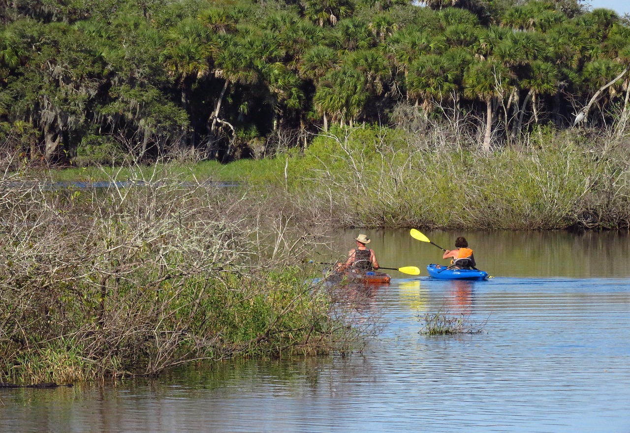 Más de 1 000 imágenes gratis de Kayaks - Kayaks y Kayaks - Pixabay
