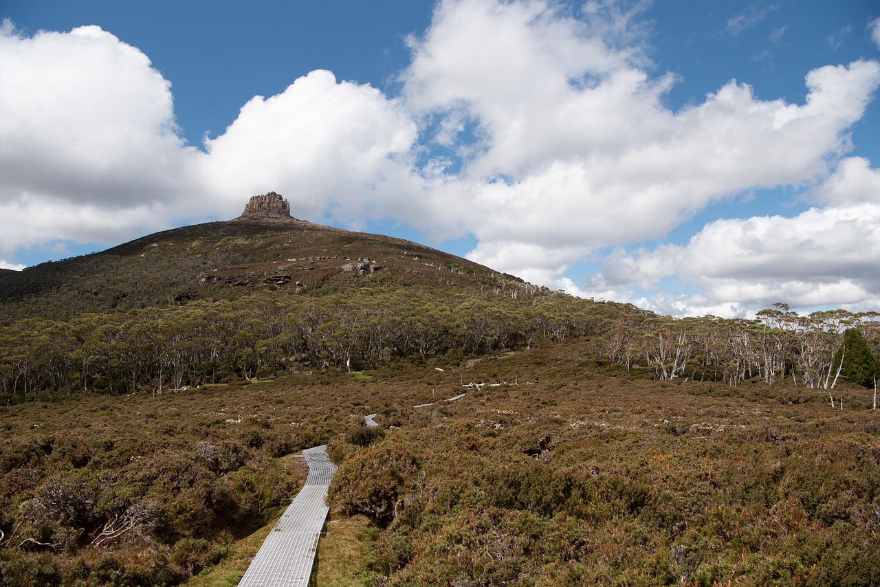 Overland Track Tasmania Alam - Foto gratis di Pixabay - Pixabay