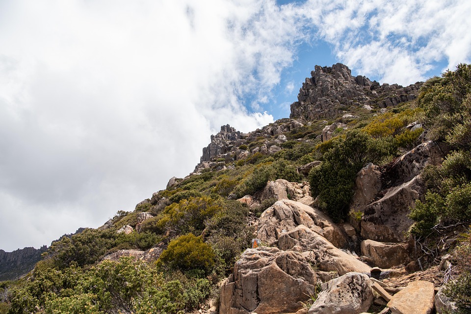 Overland Track Tasmania Wilderness - Free photo on Pixabay