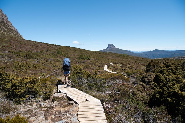 Overland Track Tasmania Wilderness - Free photo on Pixabay - Pixabay