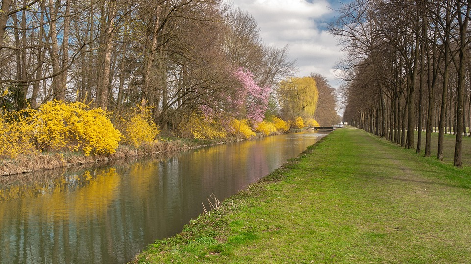 Landscape Trees Riverbank - Free photo on Pixabay