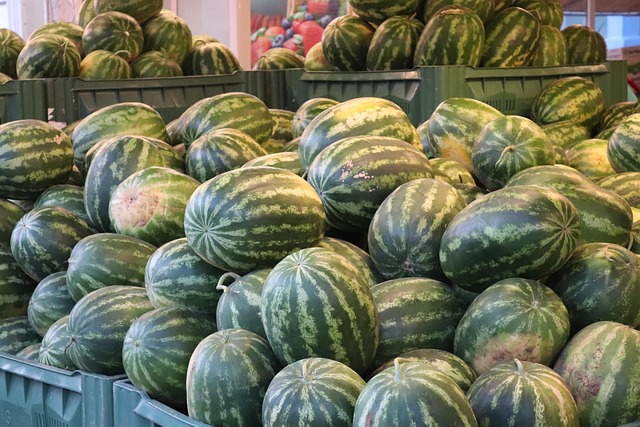 Watermelon Sale Market - Free photo on Pixabay