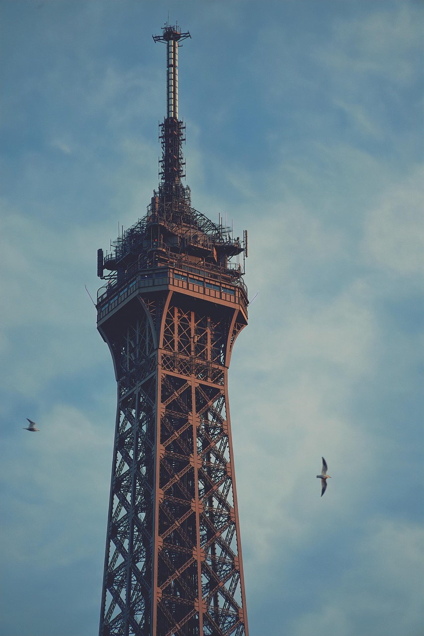 Eiffel Tower Top Birds - Free photo on Pixabay