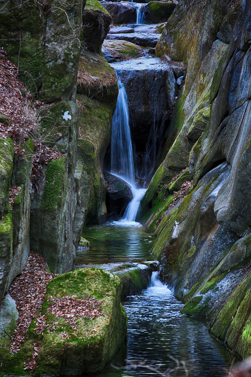 Cours D'Eau Nature Ruisseau - Photo gratuite sur Pixabay