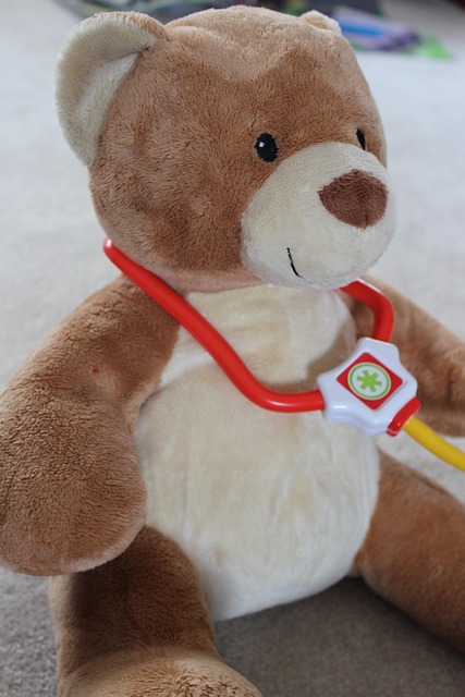 Bear Doctor Profession - Free photo on Pixabay - Pixabay
