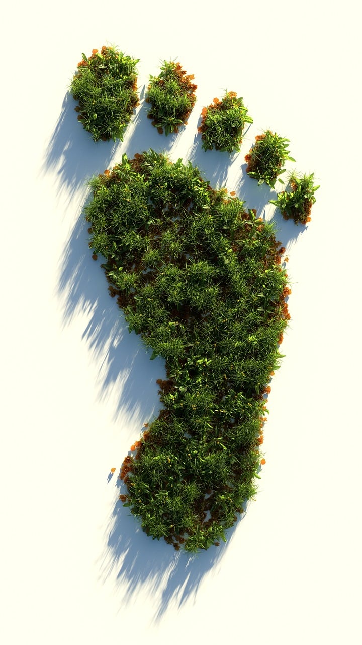 Download Green, Healthy, Footprint. Royalty-Free Stock Illustration ...