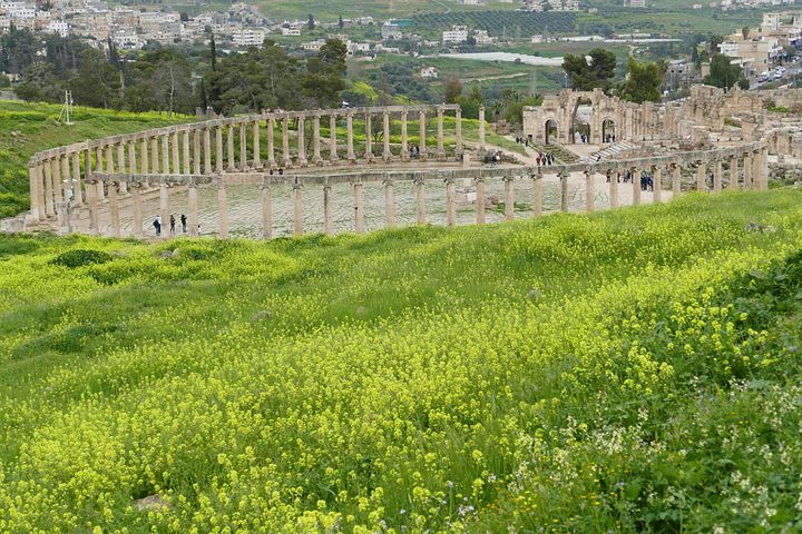 90+ Free Jerash & Jordan Photos