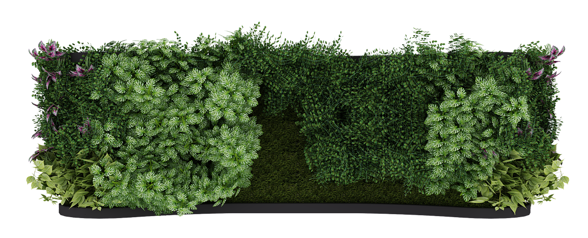 100+ Free Wall With Plant & Wall Illustrations - Pixabay
