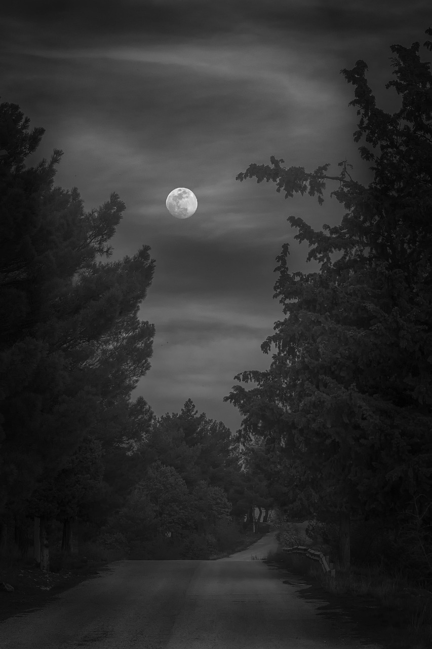 Moon Bw Atmosphere - Free photo on Pixabay