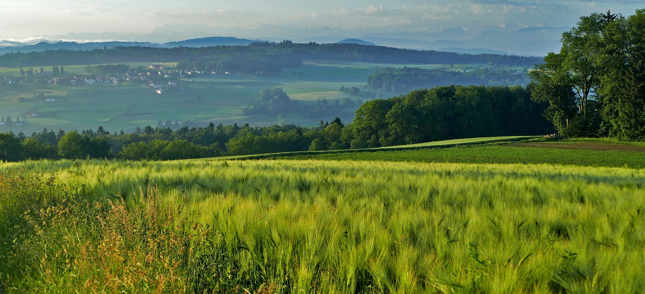 Landscape Switzerland Zurich - Free photo on Pixabay - Pixabay