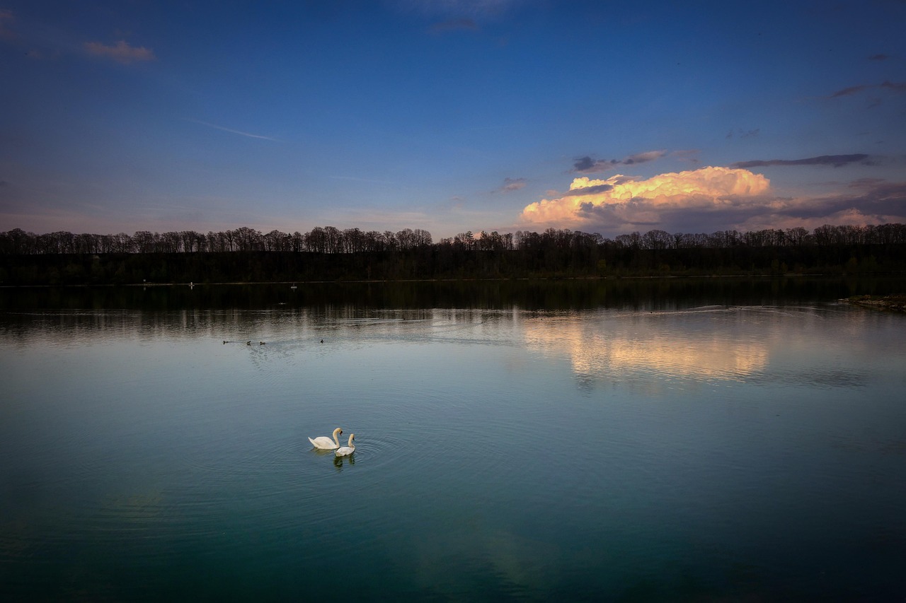 Lake Evening Atmosphere Water - Free photo on Pixabay